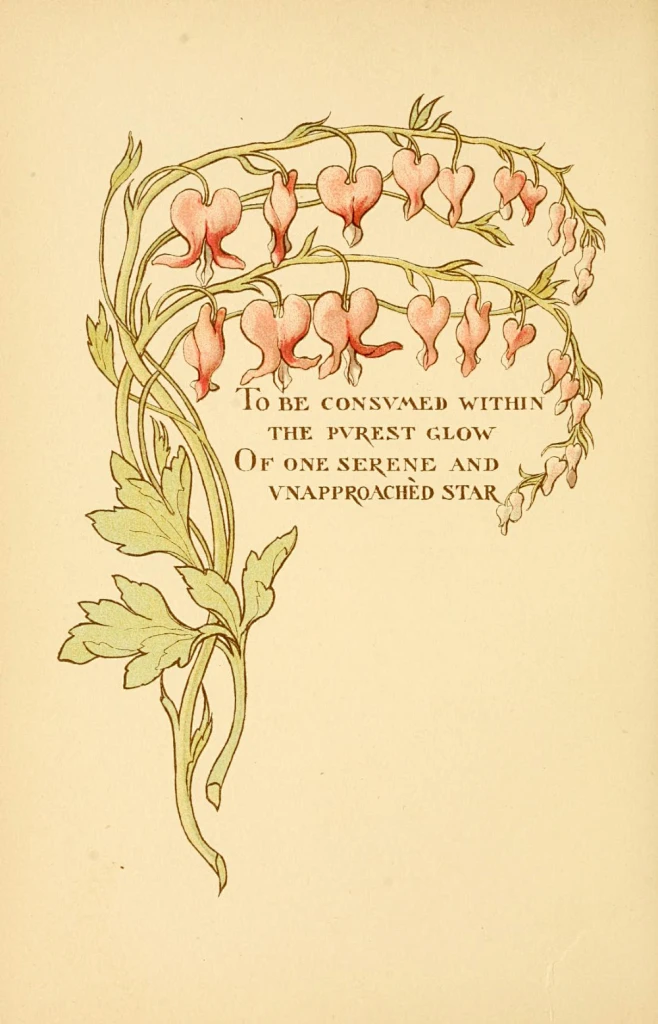 Sonnets from the Portuguese : Browning, Elizabeth Barrett, 1806-1861 : Free Download, Borrow ...