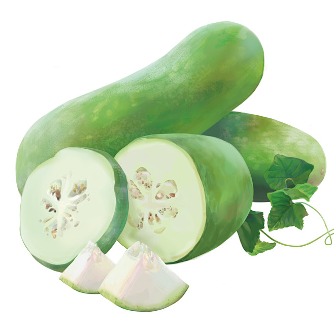 20-20CM DONGGUA BAOZHUANG GERENCHUANGZUO-花瓣网