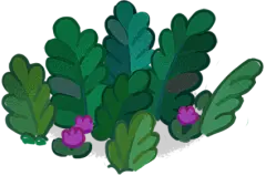 小花图片大全-小花高清好看的图片--花瓣楜哩糊菟丶的画板