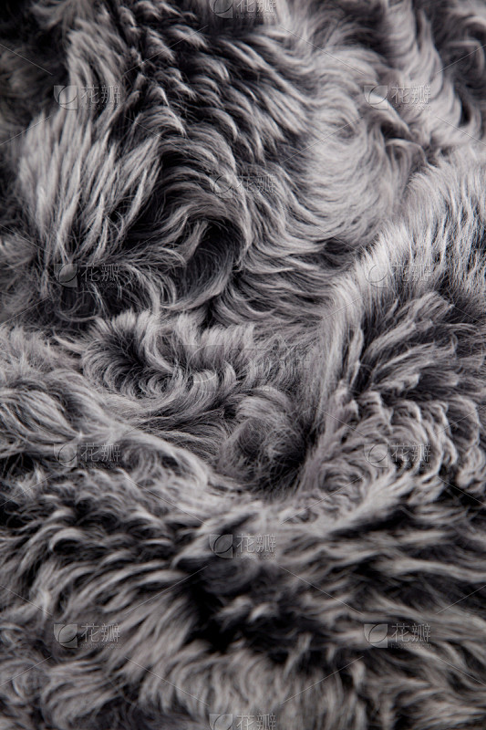 动物,毛皮,华贵,垂直画幅,图像,浣熊,动物身体部位,动物毛发,动物皮,褐色