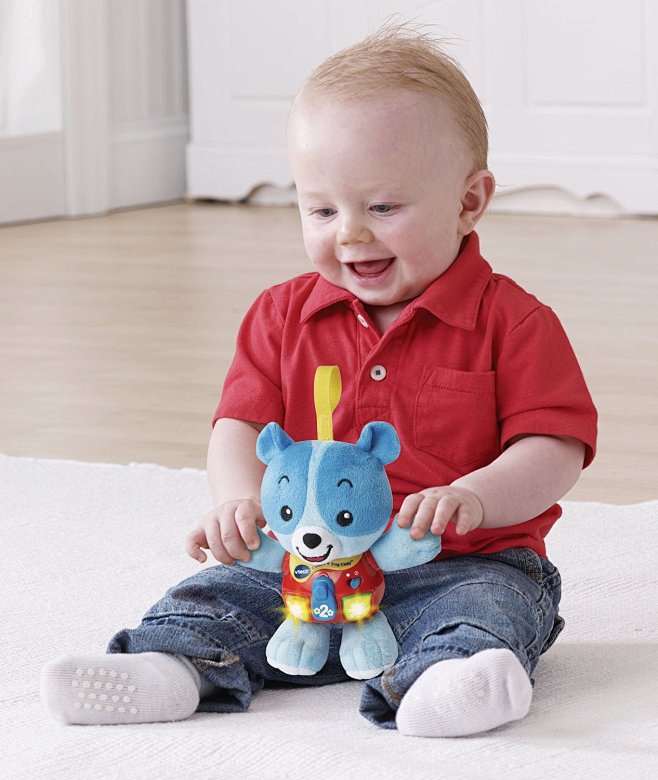 Amazon.com: VTech Baby Cuddle and Sing Cody: Toys & Games