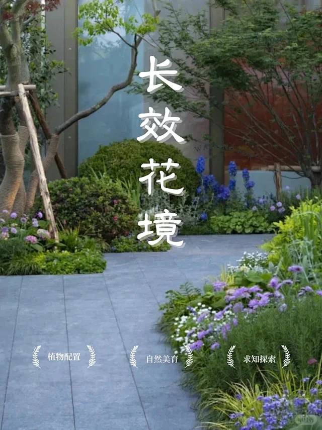 花镜植物搭配 - 小红书搜索图片_家居装饰图片素材-花瓣网