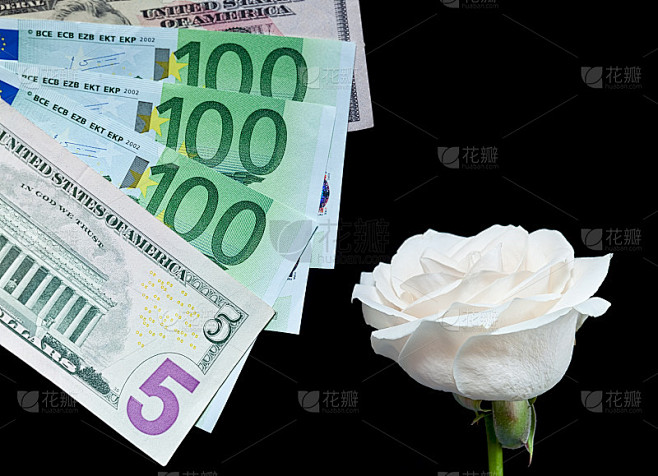 Money-roses