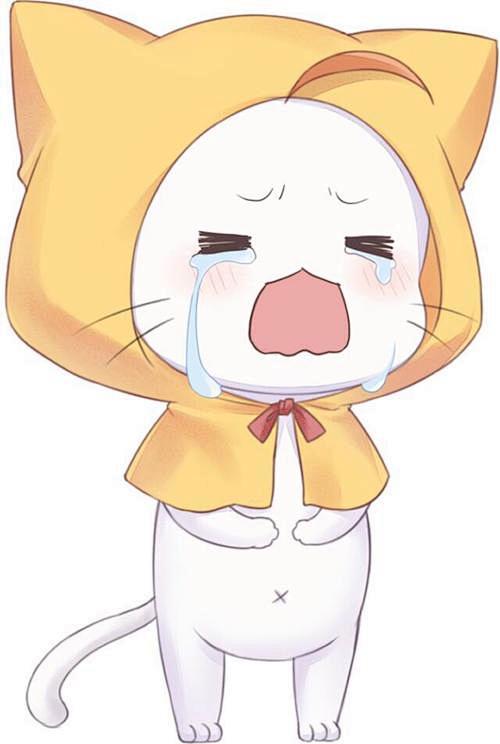 大喵_百度图片搜索