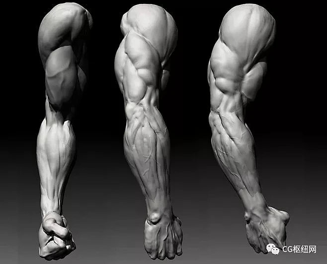 ZBRUSH CG人体素材-花瓣网