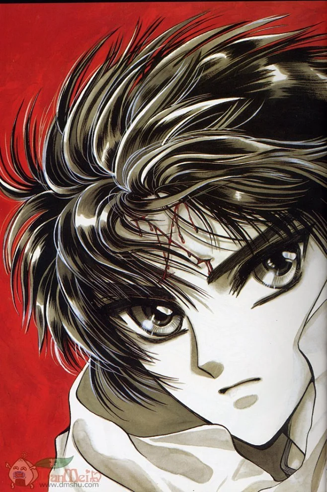 CLAMP X战记 原画集_bl_DM叔女性向动漫站（原耽美网）-花瓣网