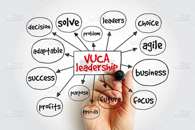 VUCA Leadership (Volatility, Uncertainty, Complexi