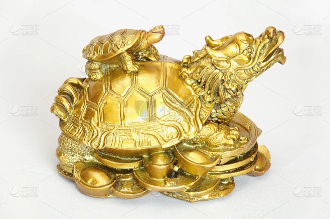 侧面的金龟装饰素材-花瓣网