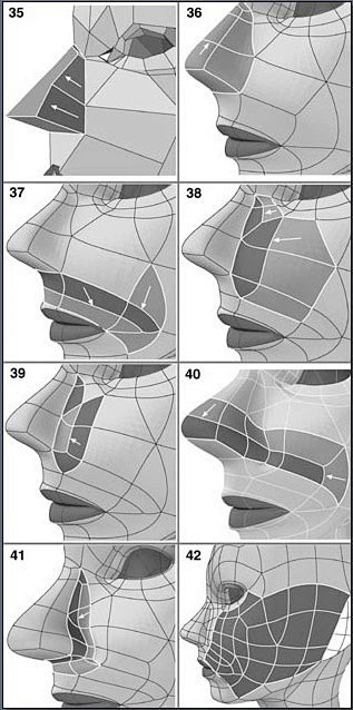 Fig. 6-9 Steps 35-42. 35). Beveling out the nose polygon. 36). Dividing ...