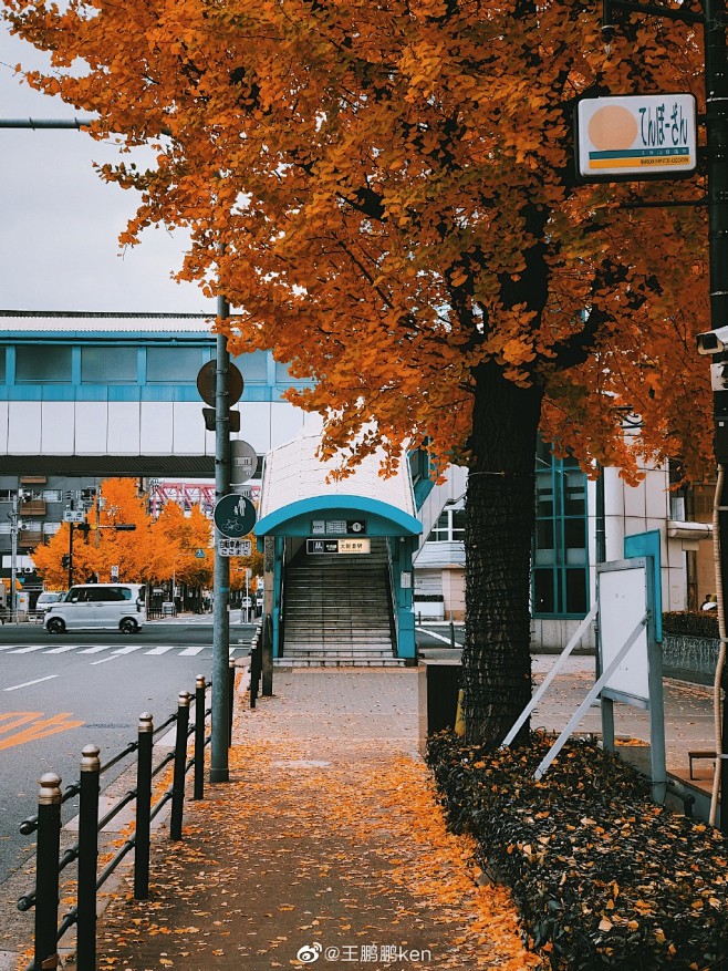 日本古建筑景观来自cgbook.cn (850)