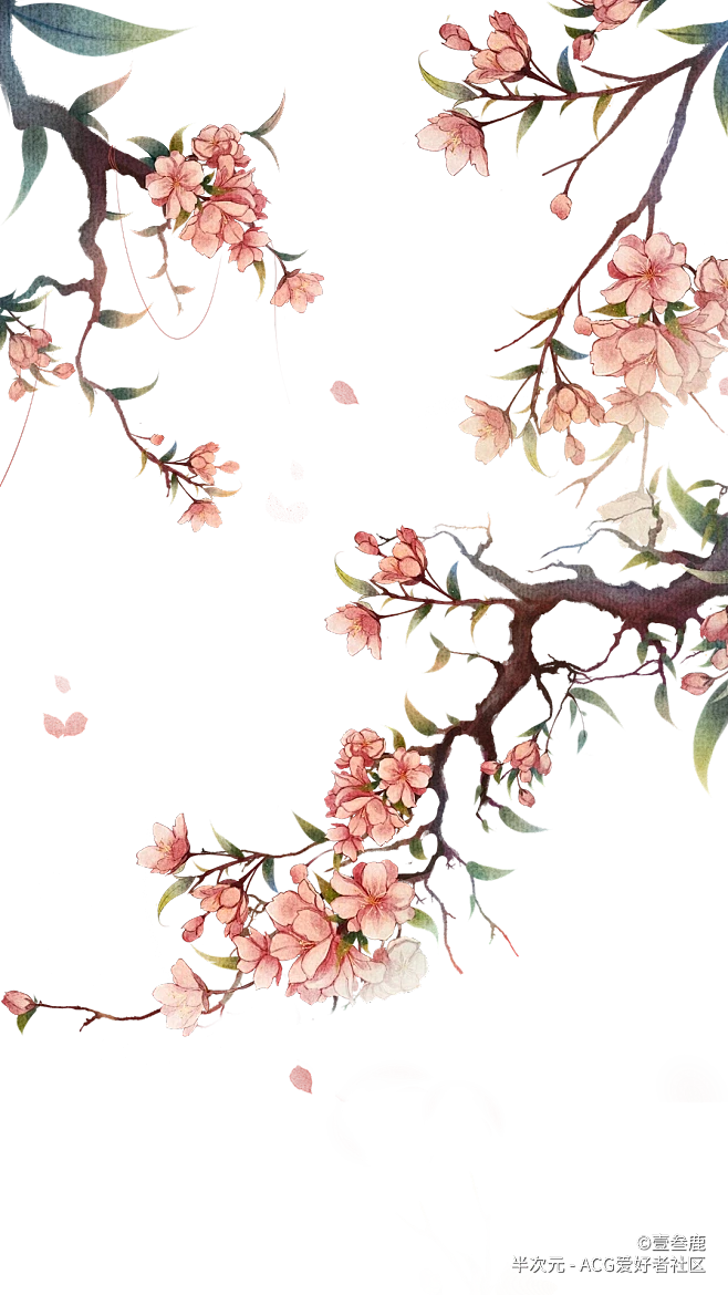 9513ce23054868928f509dc4c17fcdb22939e8a913bfda-RJF8Xh_fw658webp-花瓣网