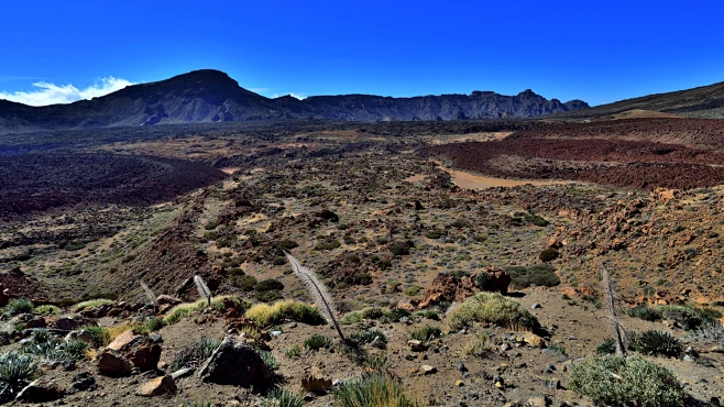 There's life on Mars! : A view of the Teide national park, situated at ...