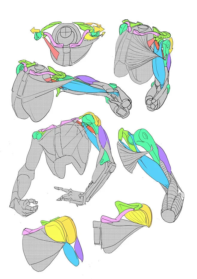 F-3I1bcbIAAbOsZ (1448×2048)-花瓣网