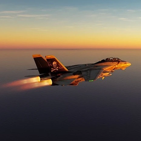 F - 14 雄猫-花瓣网