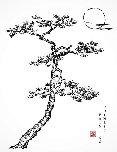 中国风白描松树线条线稿插画矢量图设计素材