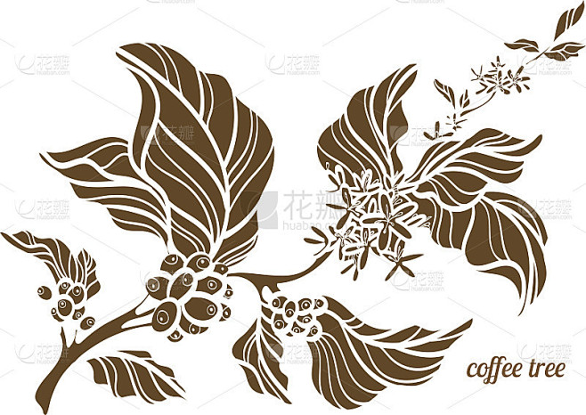 咖啡树的树枝。矢量图