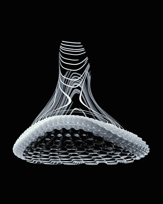 Footwear Experiments : Goji & Goko represent two experiments using ...
