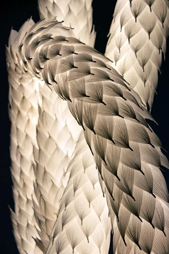 (145) Pinterest-花瓣网