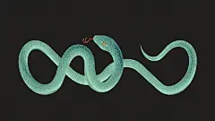 miyo社交app 采集@Sissi 爱莫能助的采集 -花瓣网