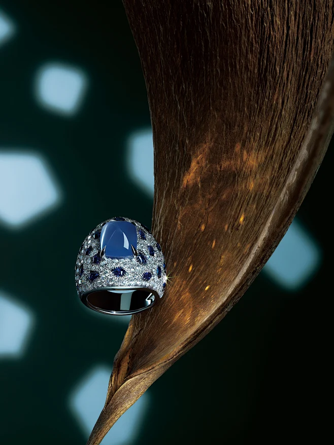brand identity Cartier design editorial jewelry stuffstudio-花瓣网