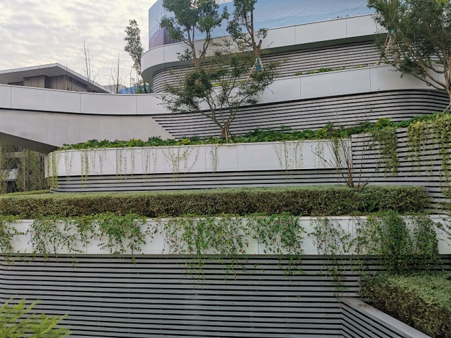 IMG_20211110_163649-花瓣网