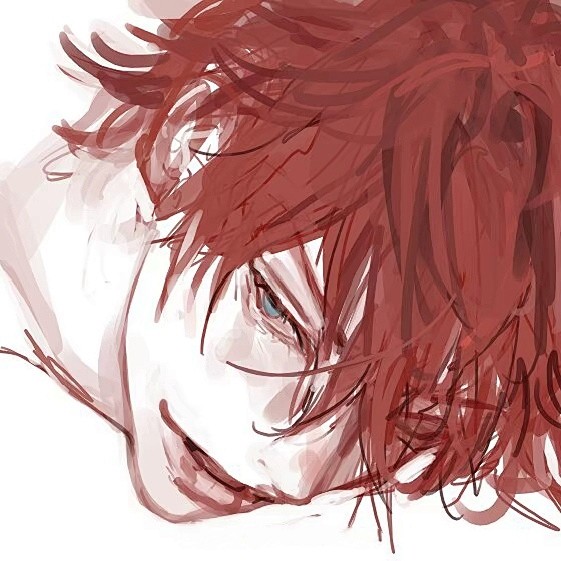 阳光红毛 暖男动漫男头 侵权必删