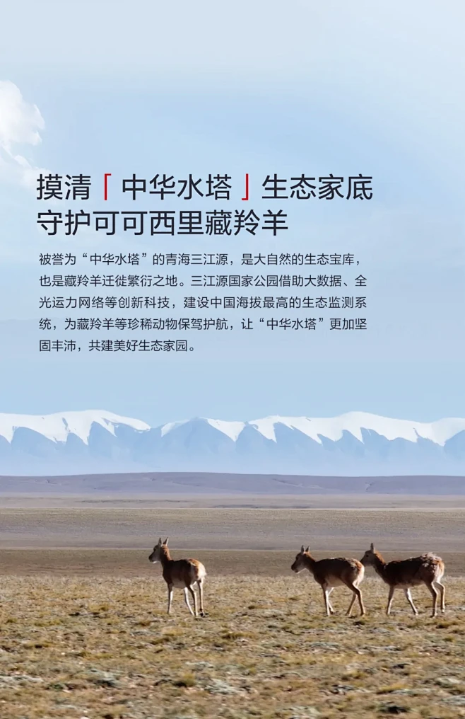 叮咚～你的好友 「可可西里的藏羚羊」已上线 - 拷贝 - 秀米XIUMI-花瓣网