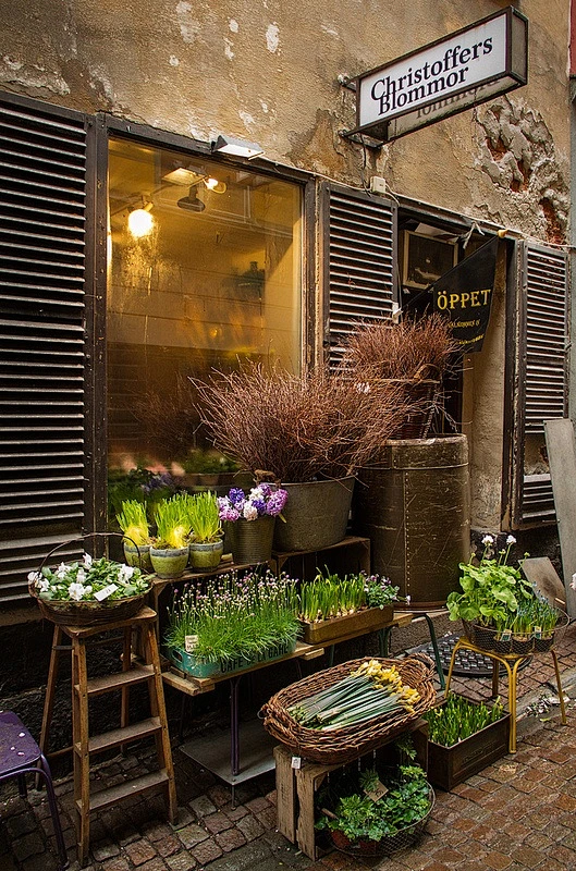 Stockholm florist | Shop Around the Corner #采集大赛#图片_小物件图片素材-花瓣网