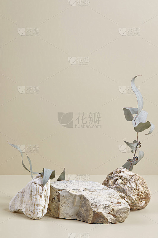 用石头和干桉树叶组成的自然场景