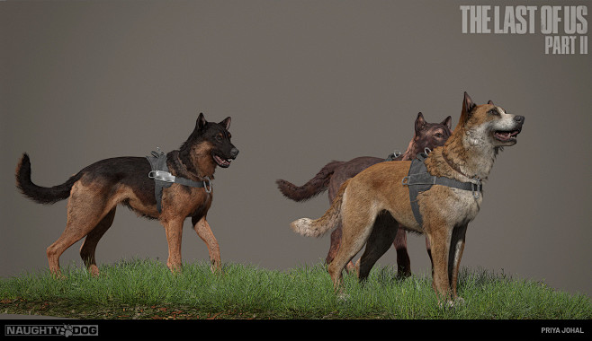 priya-johal-npc-dogs-02