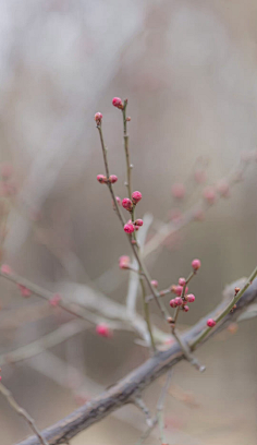 bei'jing'tu-花瓣网|陪你做生活的设计师 | A19I3149