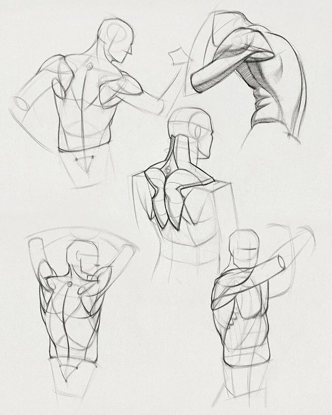 Anatomy Assignment Page , Stan Prokopenko : A page full of drawings ...