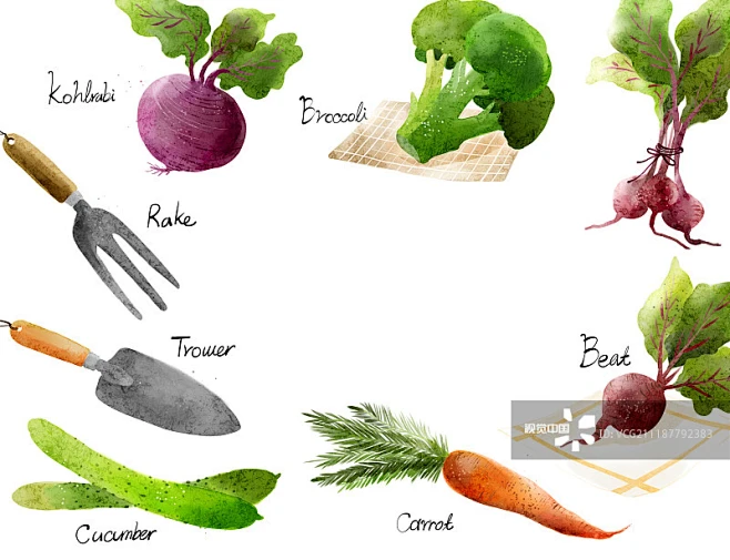 花瓣灵感详情页-花瓣网