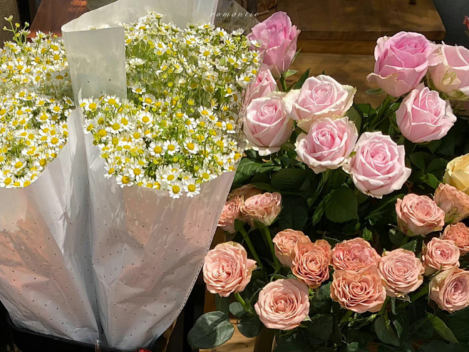 ins风风景ipad壁纸 #plog