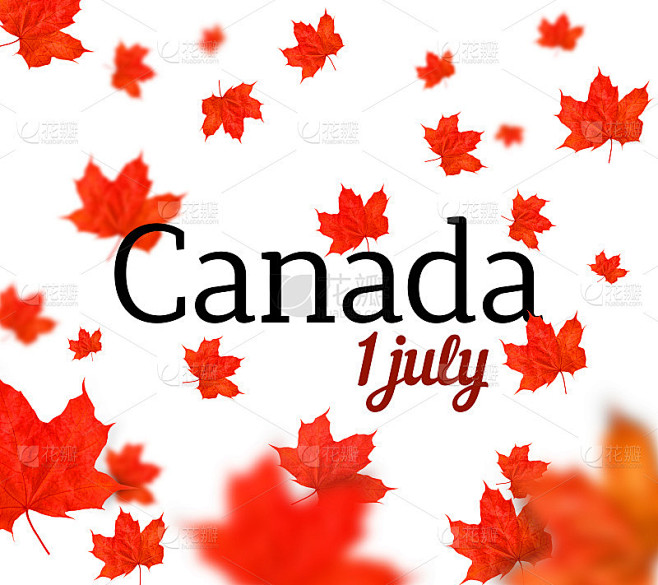 加拿大标志枫叶爱加拿大