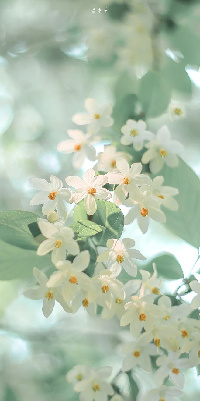 风景壁纸｜LOFTER（乐乎） - 让兴趣，更有趣-花瓣网