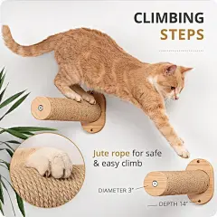 1607758000124592150-fococlipping-standard-花瓣网