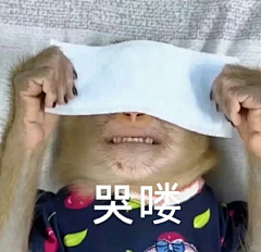 乐子表情包-花瓣网|陪你做生活的设计师 | 小红书 - 你的生活指南