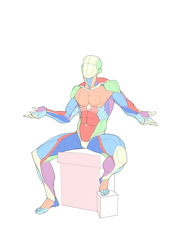 跟新一组男性肌肉结构和动态绘画素材-花瓣网