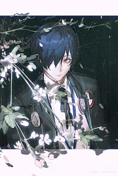 其中包括图片：Maca @nozz177 on Twitter-花瓣网