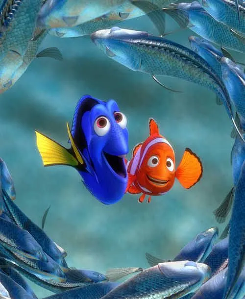 Finding Nemo - image via photofestnyc-花瓣网