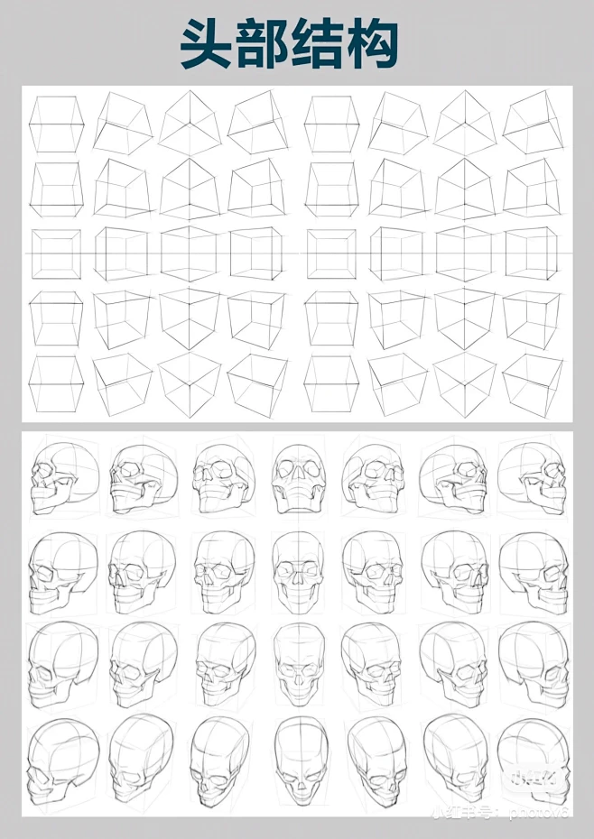 IMG_0792(0)-花瓣网