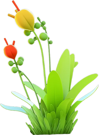 【米图网-52mitu.com】花朵 植物 3D 立体 春天 春季 鲜花 花卉3D植物花朵免扣素材-花瓣网