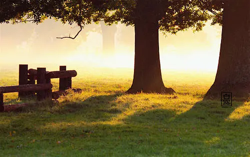 电脑壁纸高清_百度图片搜索-花瓣网