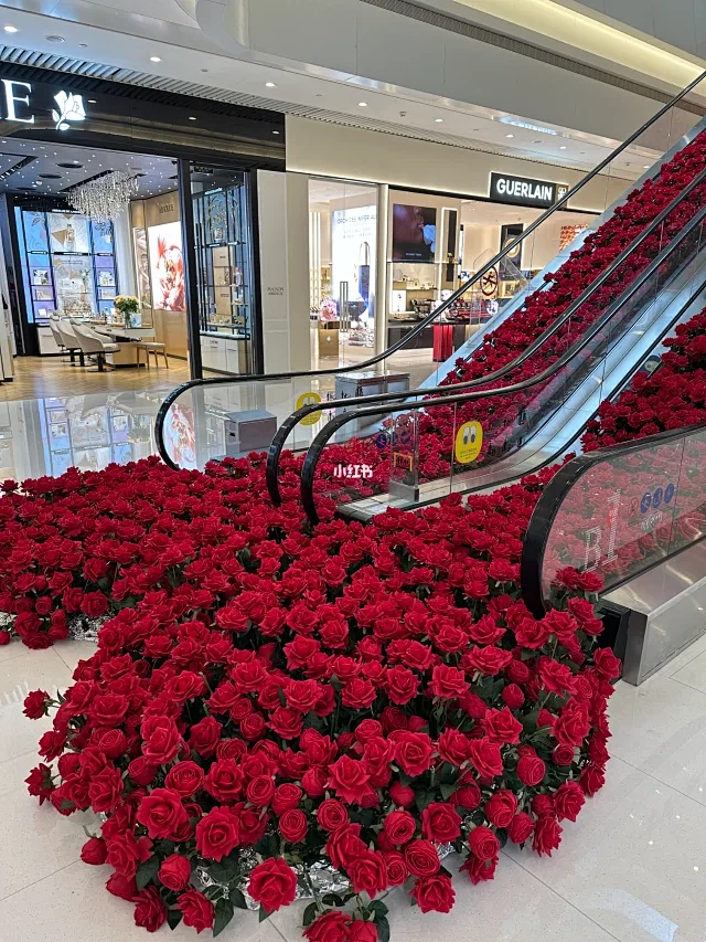 七夕哪里有活动 - 小红书搜索-花瓣网