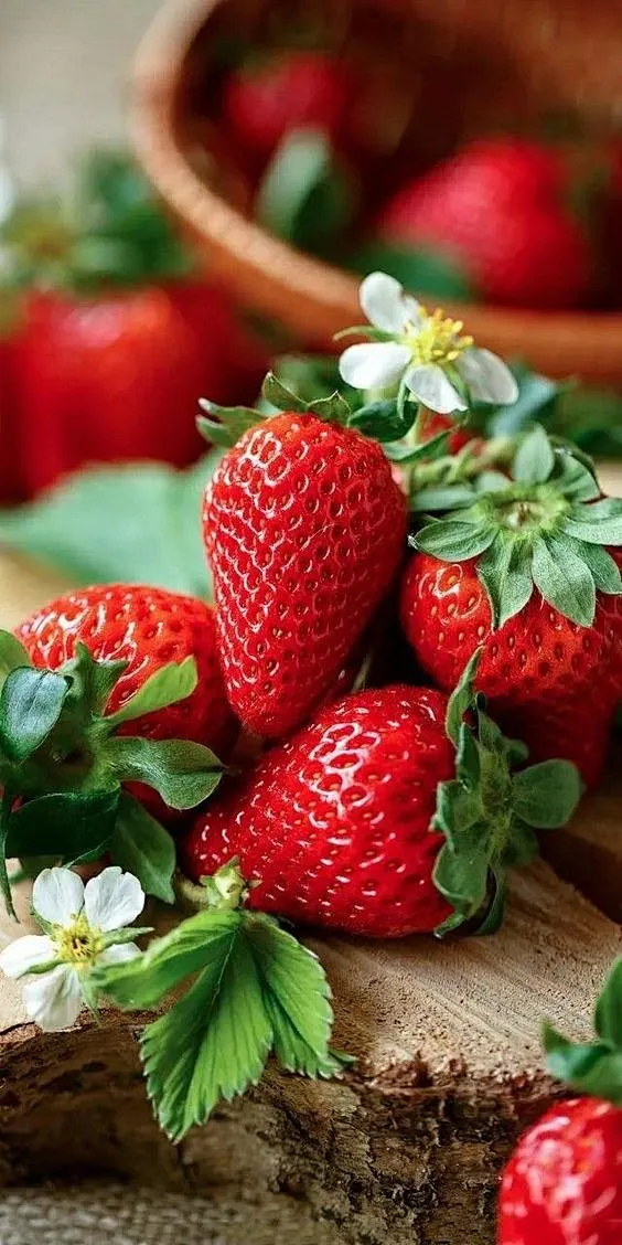 (31) Pinterest-花瓣网