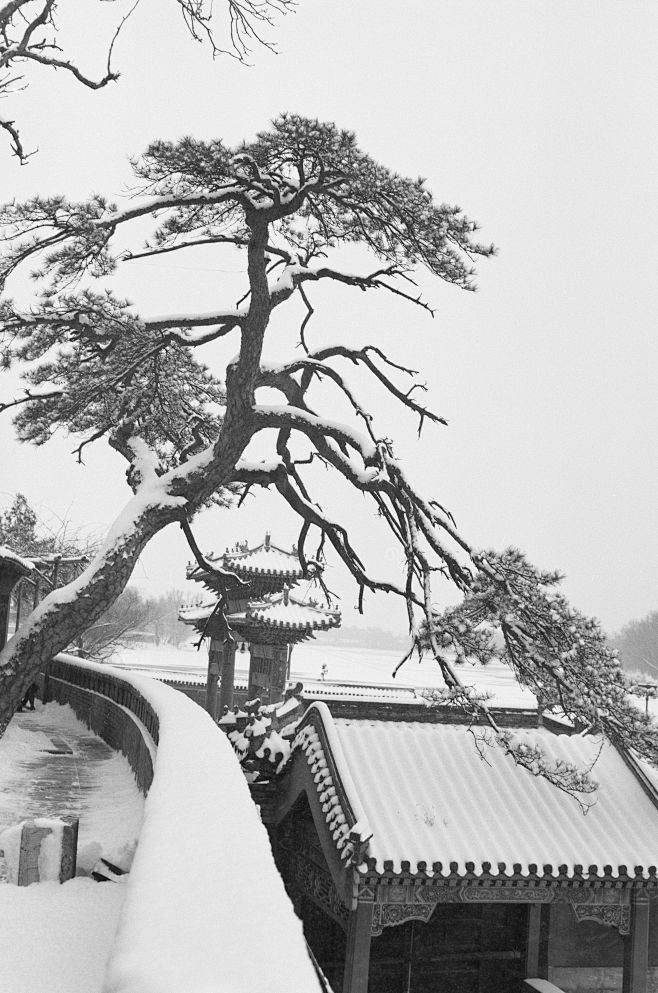 Hedda Morrison Photographs of China.1565