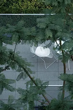 ruan zhuang图片大全-ruan zhuang高清好看的图片--花瓣冯嘟嘟嘟的画板