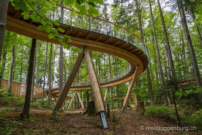 Baumwipfelpfad Neckertal in Mogelsberg-花瓣网