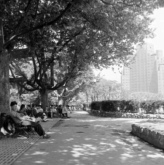 伯恩斯的中国摄影集.By Jack Birns.美国生活杂志.1947至1949年.带英文书签_页面_0161图片_伯恩斯的中国摄影集图片素材-花瓣网